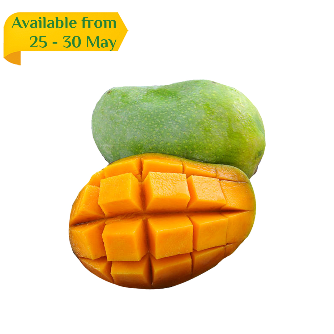 Langra - Kachelo Fruit Farms